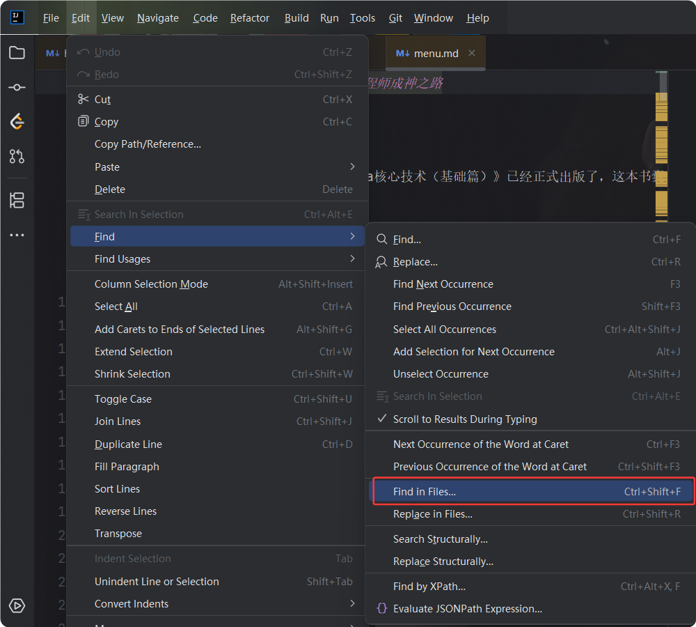 IDEA快捷键闭坑指南（一）- Ctrl+Shift+F_idea设置ctrl+shift+f快捷键-CSDN博客