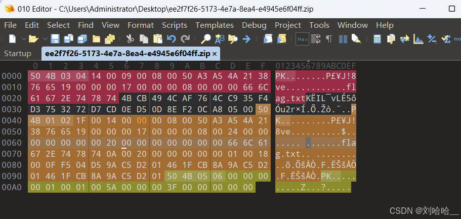 BUUCTF(Misc)——zip伪加密_buuctf zip伪加密-CSDN博客