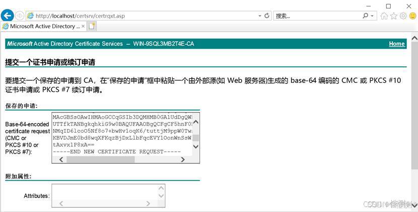 Windows11 IIS+DNS搭建ssl证书网站_win11 ssl证书-CSDN博客