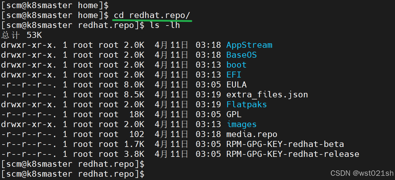 Red Hat Enterprise Linux 10.0 配本地 yum 源_red hat enterprise linux 10更换安装 ...
