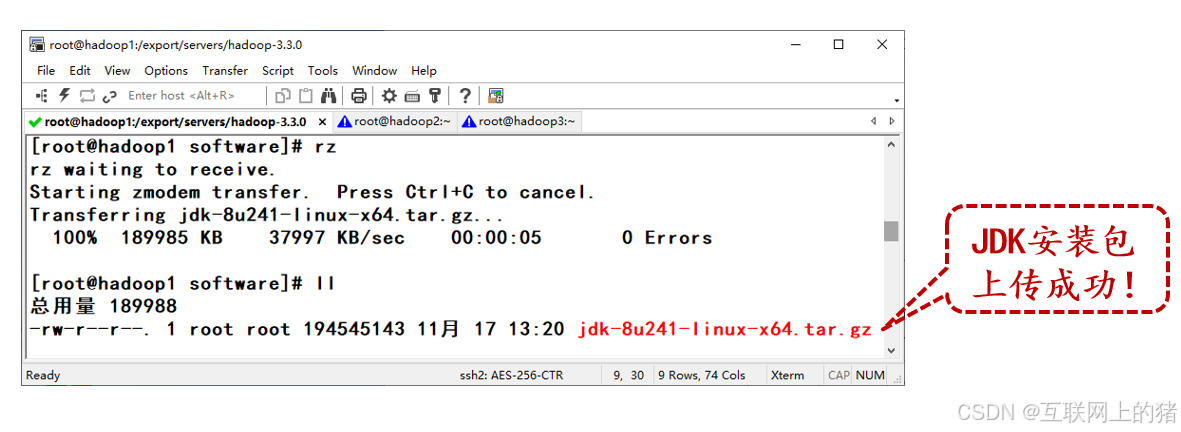 VMware上部署Hadoop集群（包括部署前的VMware安装和创建准备、克隆虚拟机、免密登录、JDK的安装、伪分布式部署和完全分布式部署）（新手友好，巨详细）_vmware安装hadoop ...