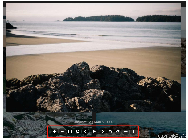 Vue开发：v-viewer插件实现图片预览、旋转、缩放、缩放_v-viewer 预览图片-CSDN博客