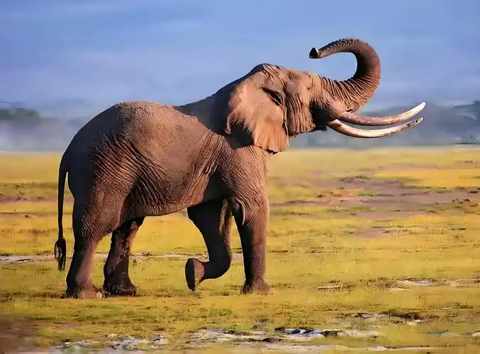 Hive Sql 三大利器：cross Join、insert Overwrite、select Distinct 实战详解hive