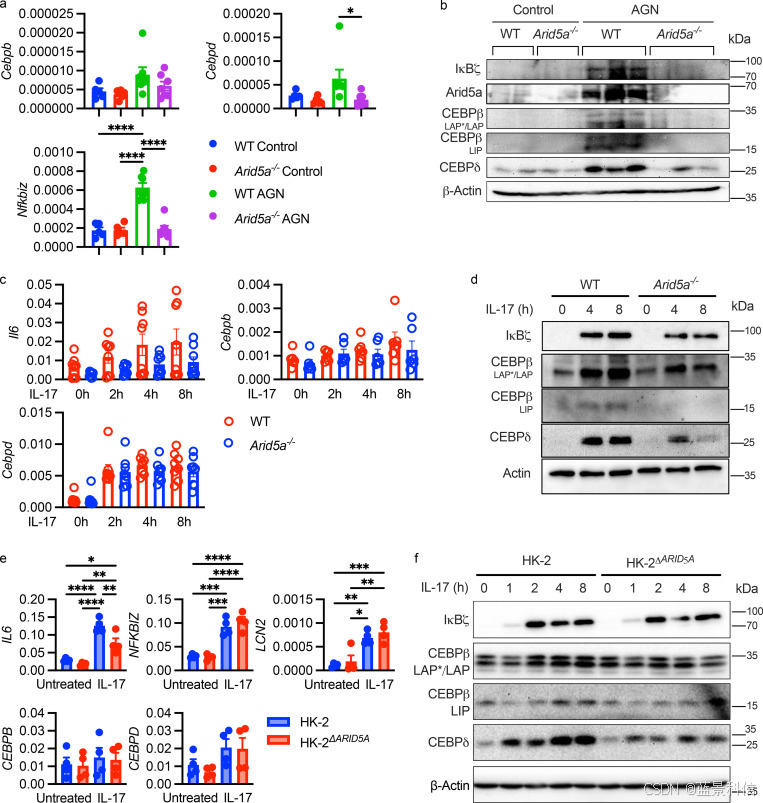 RBP研究技术RIP-seq+Polysome profiling_rna-seq结合rip-seq-CSDN博客