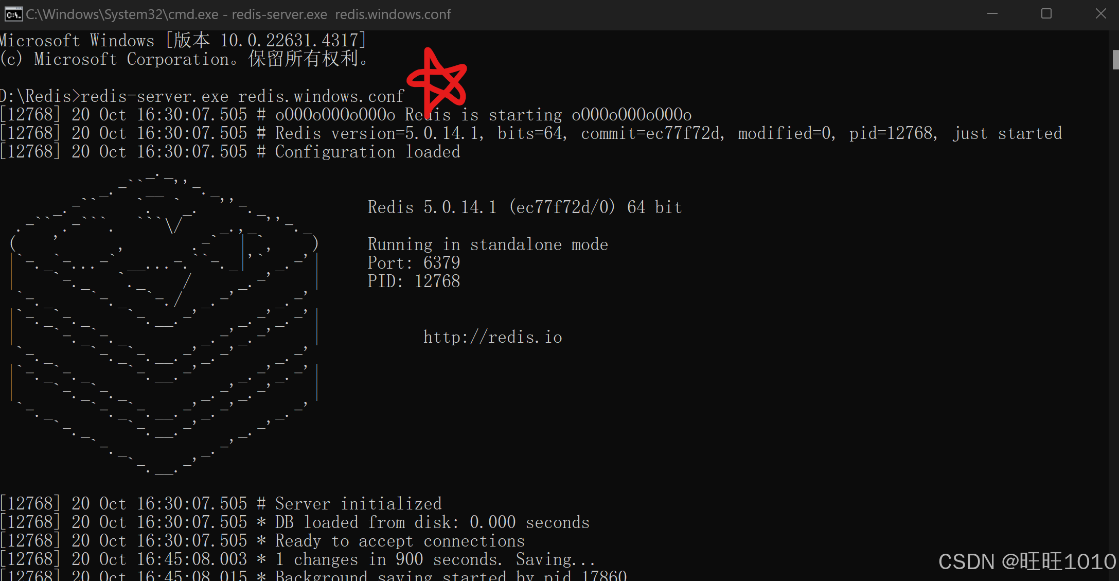 SpringBoot程序配置Redis_springboot redis ssl-CSDN博客