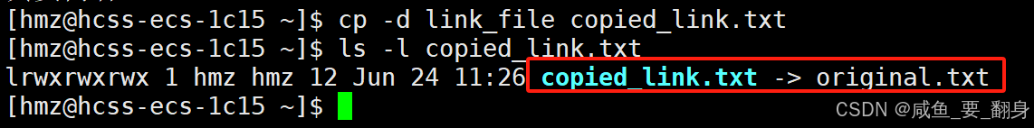 Linux基本命令篇 —— cp命令_linux cp-CSDN博客