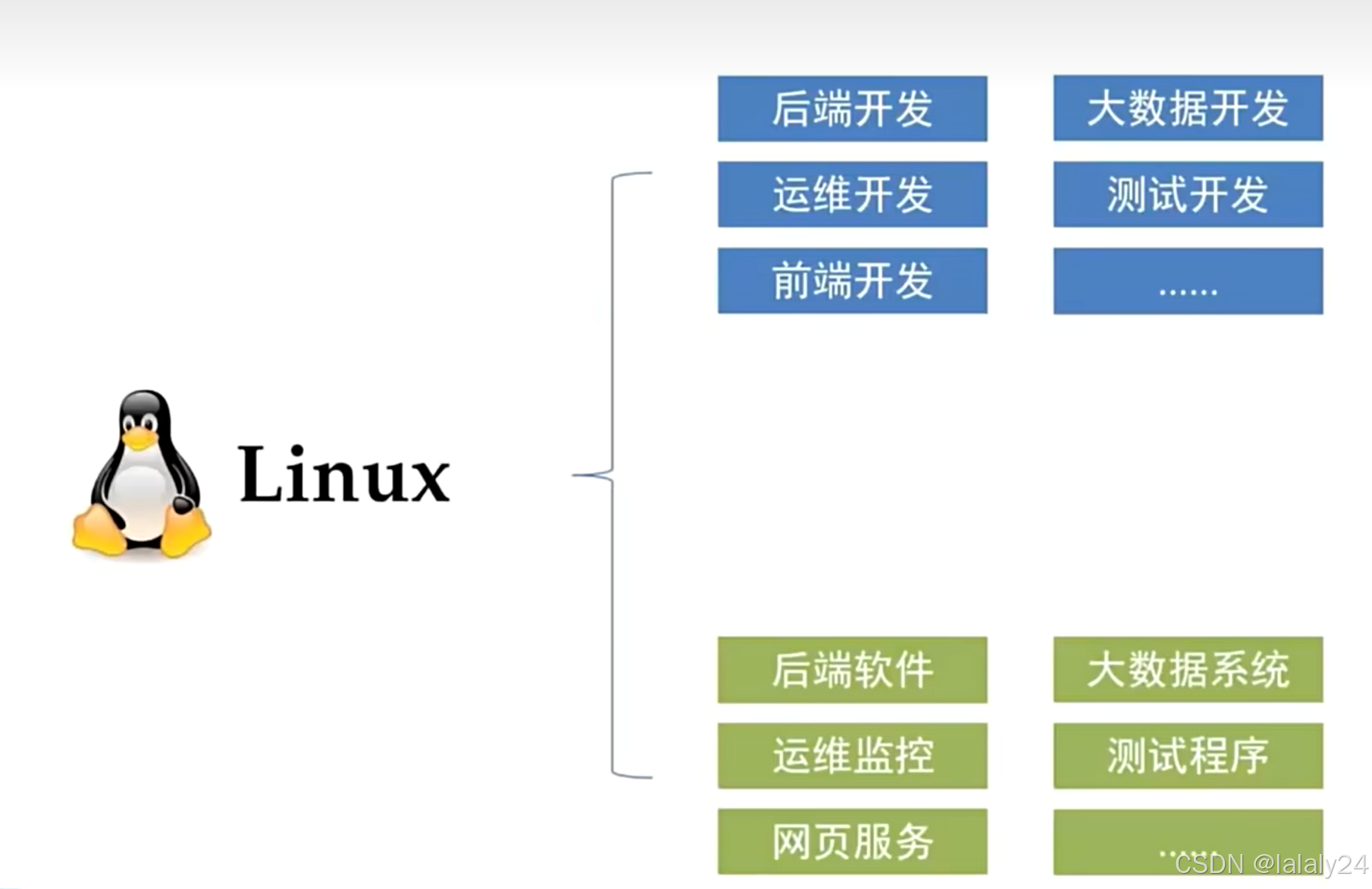 小白零基础学习Linux1:Linux介绍和虚拟机安装_linux操作系统是什么-CSDN博客