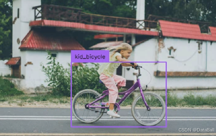 数据集-目标检测系列- 儿童单车、平衡车、三轮车 检测数据集 kid_bicycle ＞＞ DataBall-CSDN博客