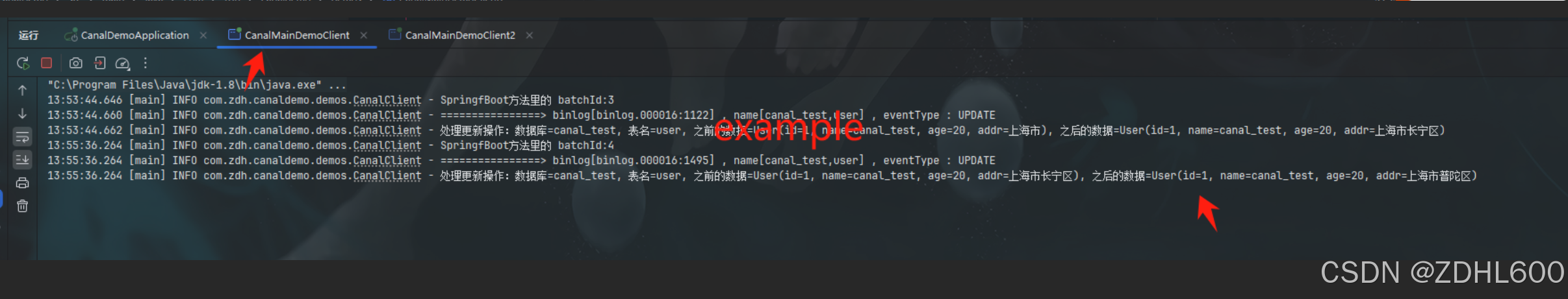 Mysql Canal配置文件详解、canal搭建、Java代码实现数据异构、多客户端连接同一个instance、两个客户分别订阅不同instance订阅是否生效解释_canal 配置文件 ...