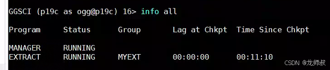 oracle19c通过ogg同步数据到oracle12c配置说明【测试记录版】_oracle的ogg同步-CSDN博客
