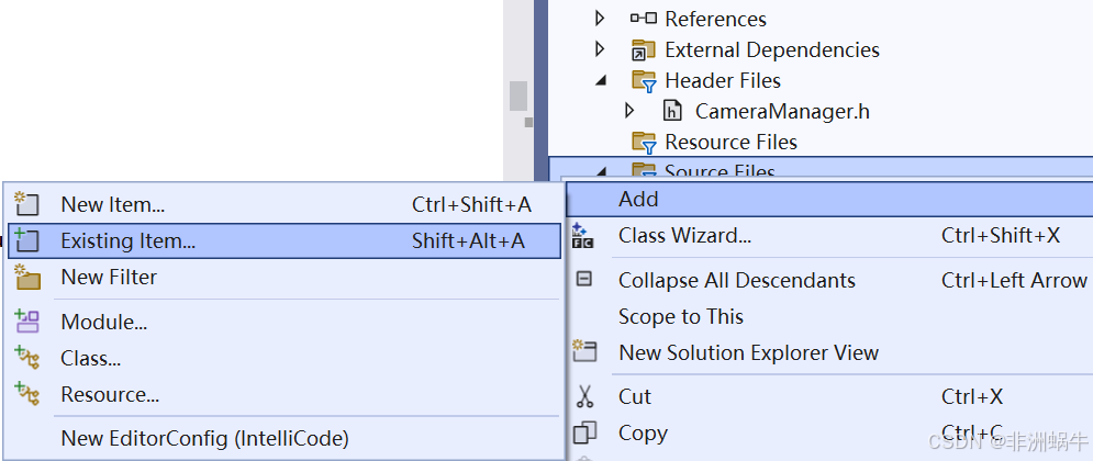 关于Visual Studio的Linker Tools Error LNK2001-CSDN博客