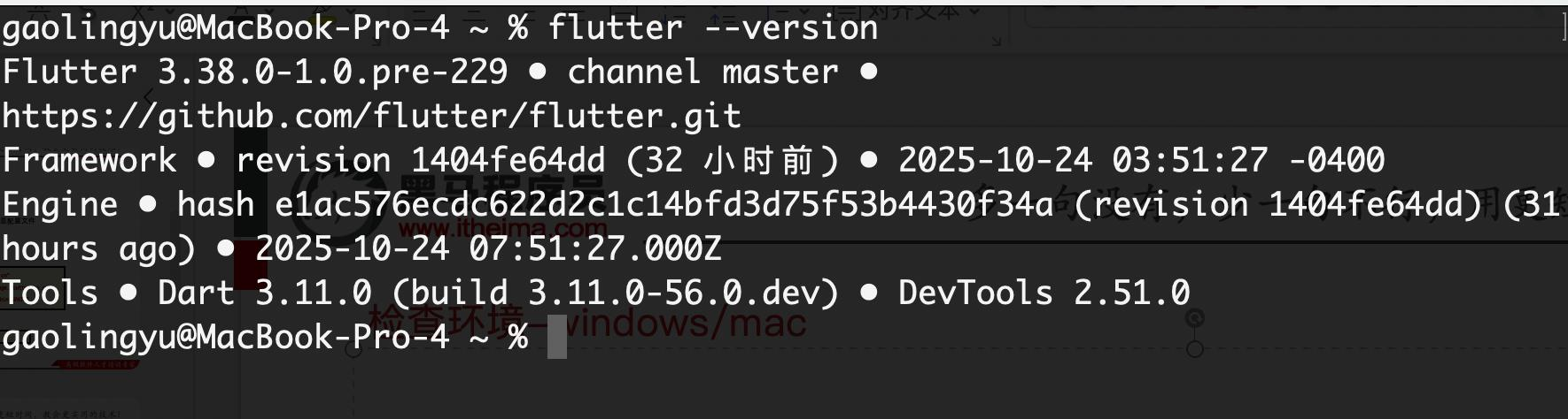 【2025最新】Flutter开发环境配置全攻略Windows/Mac【Flutter必备】-CSDN博客