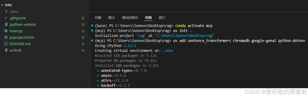 使用Python构建RAG系统—用代码还原RAG系统的每个细节_rag 的python执行代码-CSDN博客