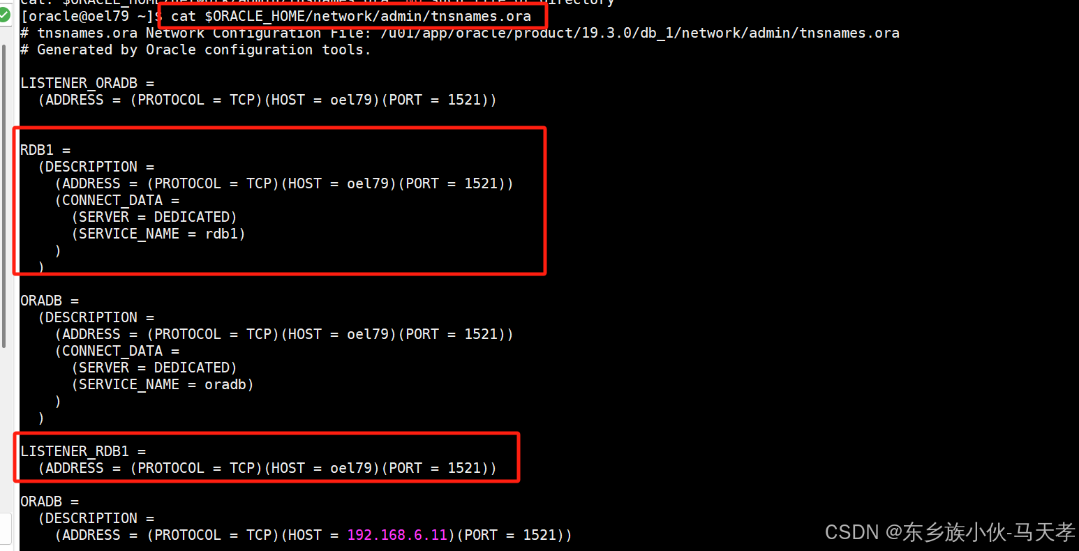 Linux Oracle19c删除容器数据库实例（cdb）oracle19c删除实例 Csdn博客