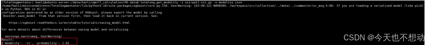 Python版：TotalSegmentator 安装与使用指南-CSDN博客