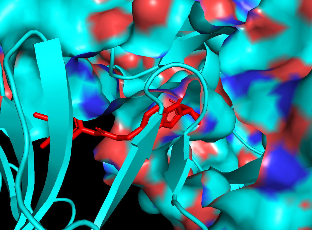 AIDD分享：ED2Mol-CSDN博客