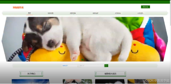 计算机毕业设计springboot宠物网系统 基于spring Boot的宠物社交平台开发 Spring Boot驱动的宠物服务管理系统设计宠物社交行为数据采集系统 Csdn博客