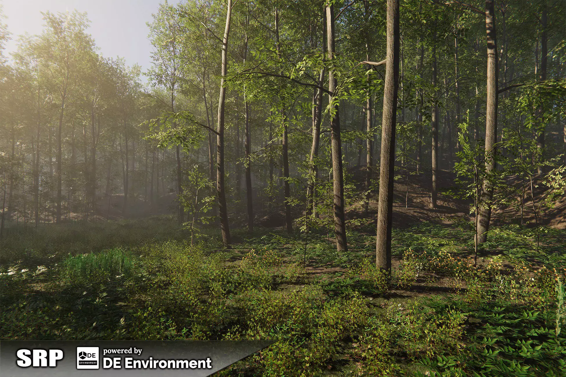【Unity 森林环境插件】Nature Package - Forest Environment 提供了丰富的自然景观资源，如树木、植被、岩石、地形、河流等，适用于各种类型的游戏_unity ...