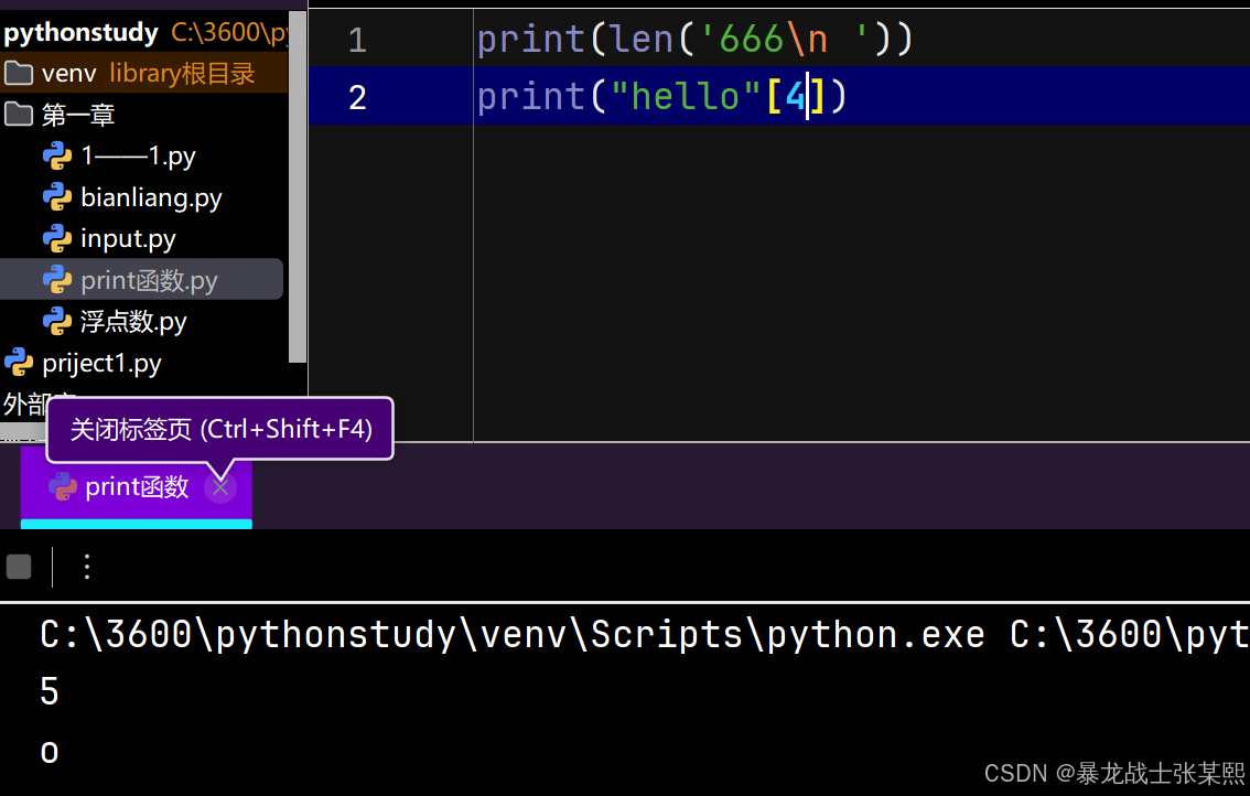 python基础_python print type-CSDN博客