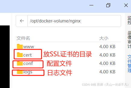 Docker创建Nginx容器配置域名与SSL证书详解（通俗易懂）_docker nginx ssl-CSDN博客