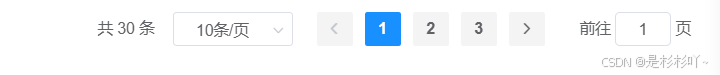 RuoYi-Vue的数据分页（Pagination）_vue pagination-CSDN博客