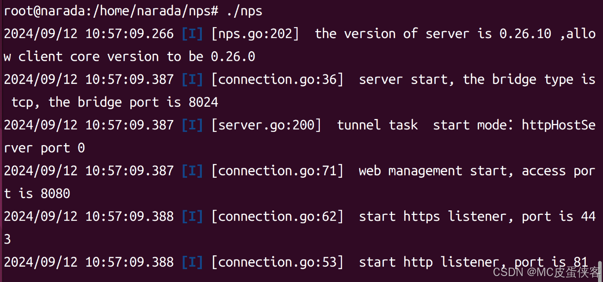 nps代理搭建内网穿透服务，访问内网web网站和远程运维-CSDN博客