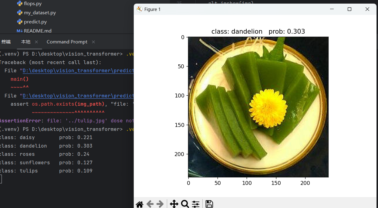 vit网络实现和模型搭建-CSDN博客
