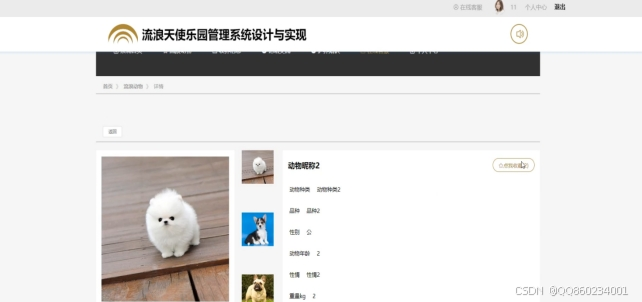 基于SpringBoot+Vue的流浪天使乐园管理系统设计与实现-java vue.js idea-CSDN博客