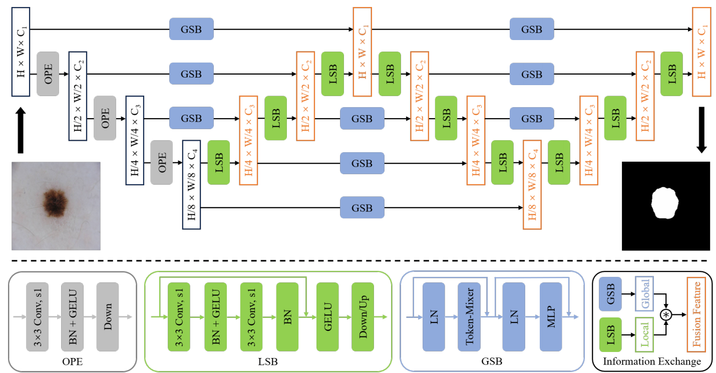 【论文阅读笔记|CVPR2025】nnWNet: Rethinking the Use of Transformers in Biomedical Image Segmentation and ...