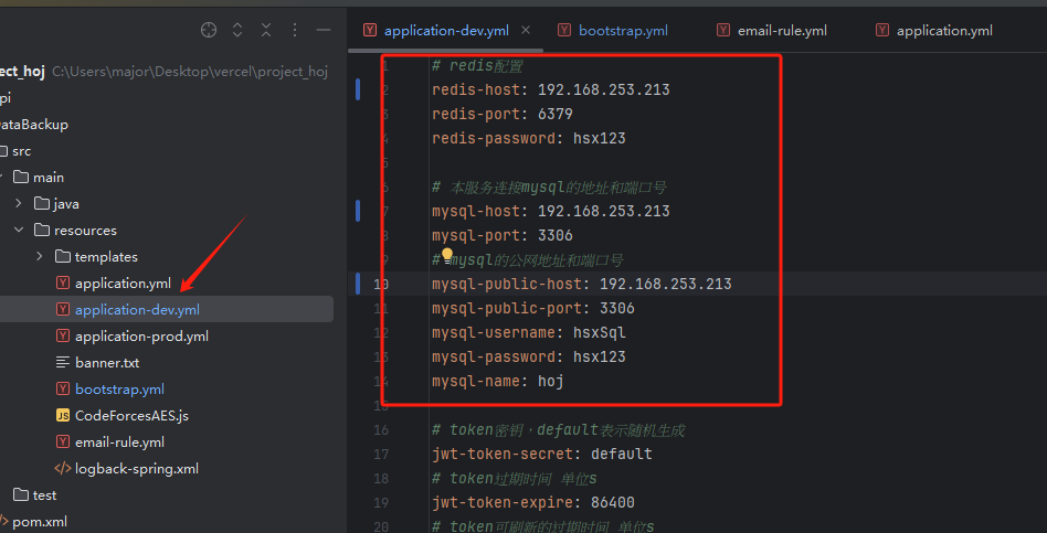 Windows 下 hoj后端本地启动-CSDN博客