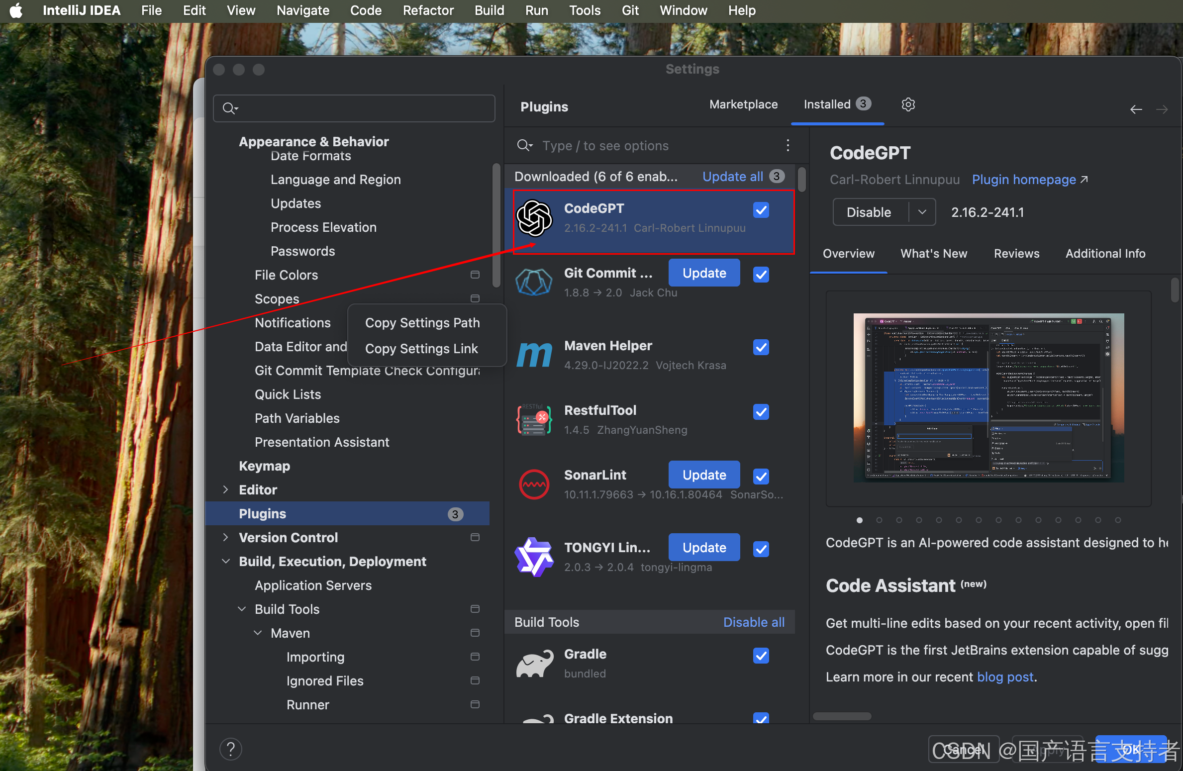 [特殊字符]【手把手教学】IDEA本地接入DeepSeek！5分钟打造私有AI编程助手！保姆级教程来啦~ [特殊字符]_idea接入本地部署的deepseek-CSDN博客