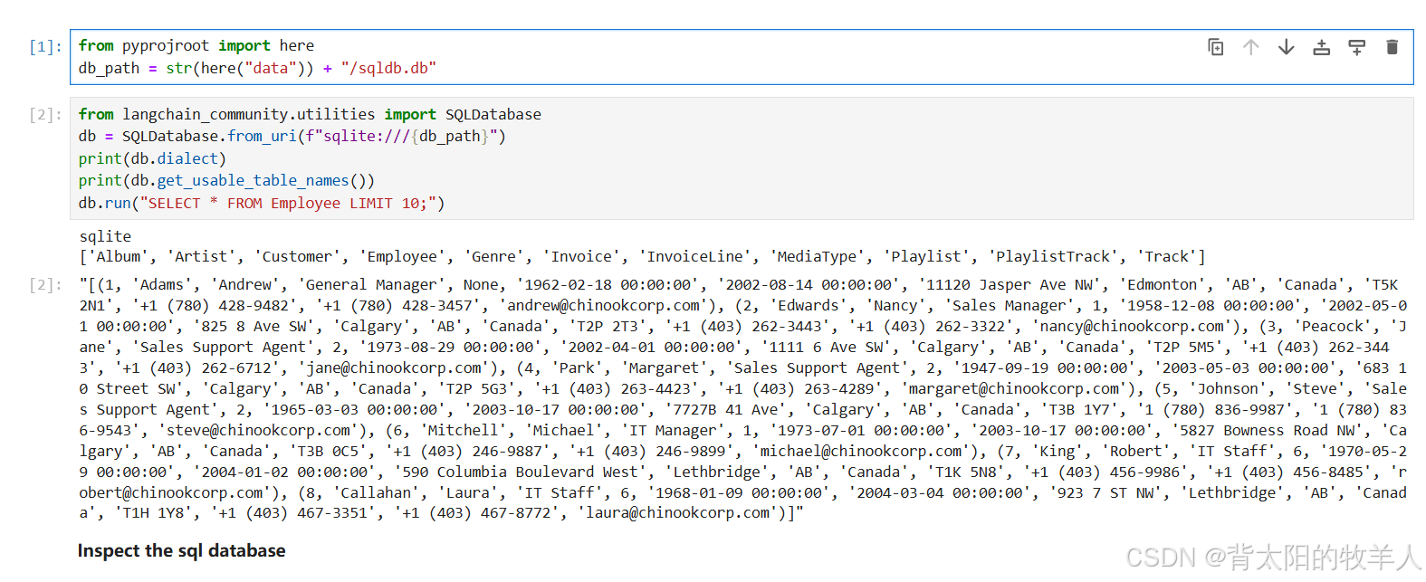 使用 SQL 和表格数据进行问答和 RAG（2）—通过 langchain_community.utilities 和 SQLAlchemy 来完成不同的查询和信息提取任务_如何将sql数据库 ...