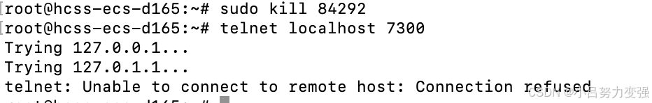linux服务器如何看运行的java程序有哪些（ps、jps、top、lsof、netstat、ss命令等）_查看java进程-CSDN博客