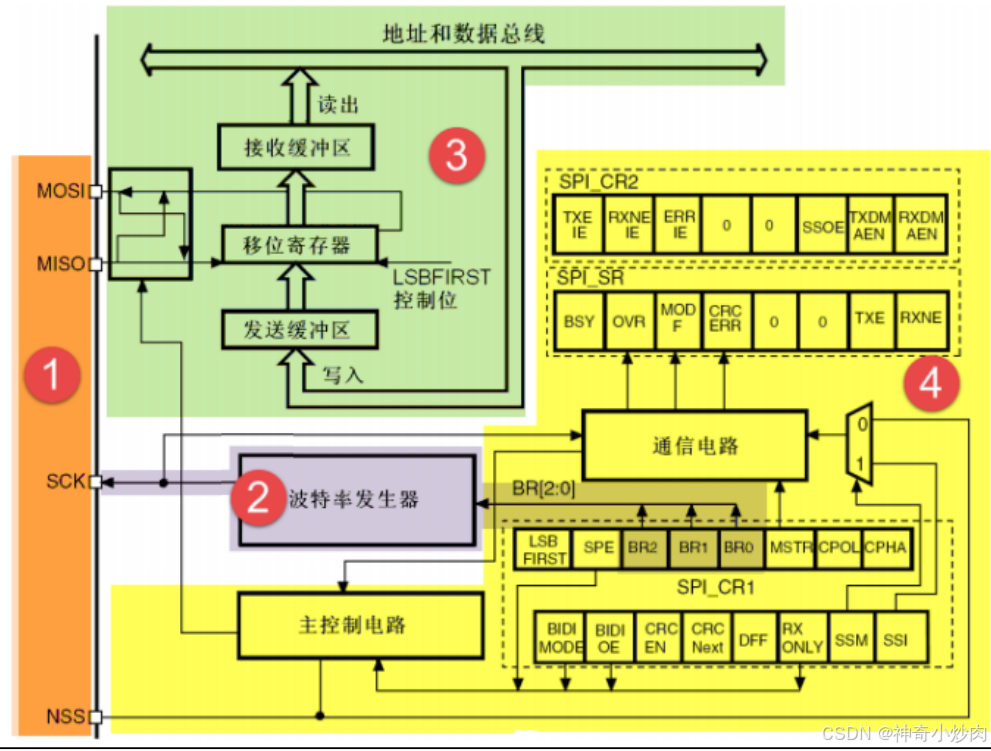 Stm32下的spi（从原理到代码）stm32 Spi程序 Csdn博客