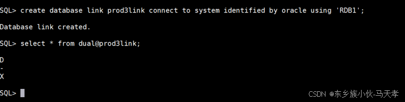 Linux Oracle19c的PDB的迁移（Relocating a PDB ）_oracle pdb迁移-CSDN博客