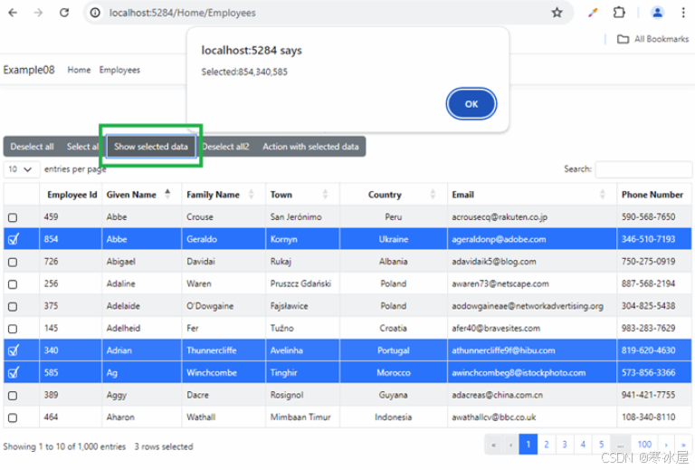 使用DataTables.net的ASP.NET8——第8部分——选择行-CSDN博客