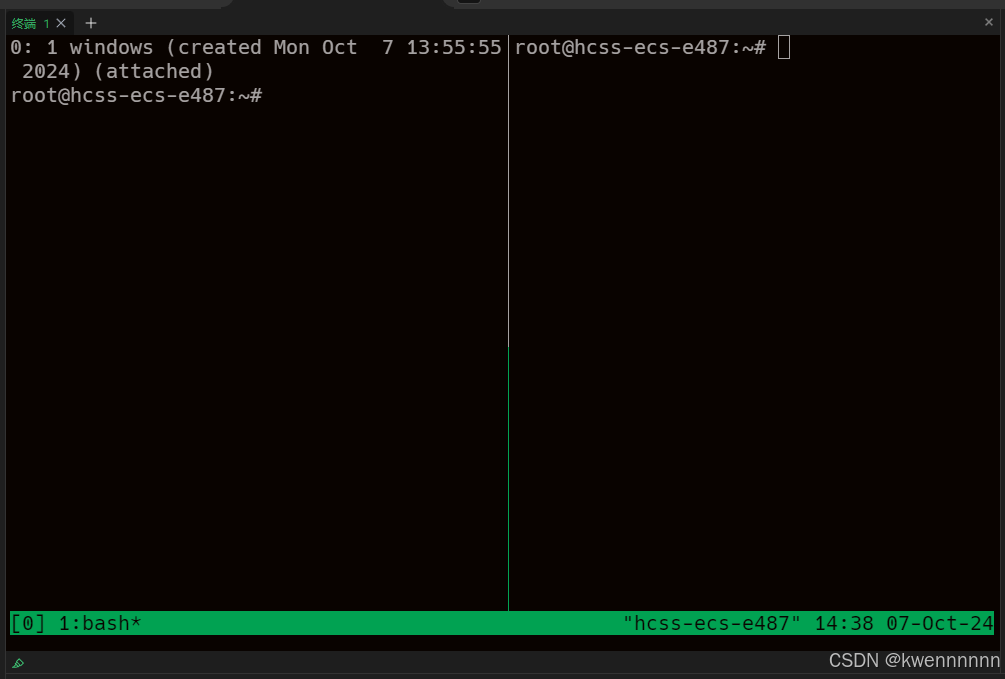 Tmux 总结_tmux new session-CSDN博客