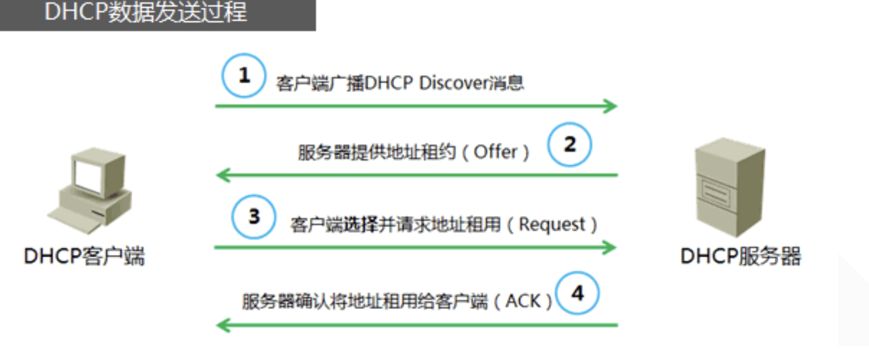 一文读懂 DHCP 报文_dhcp报文-CSDN博客
