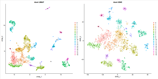 【R语言】单细胞——单个样本分析流程(1)_r语言单细胞数据细胞聚类-CSDN博客