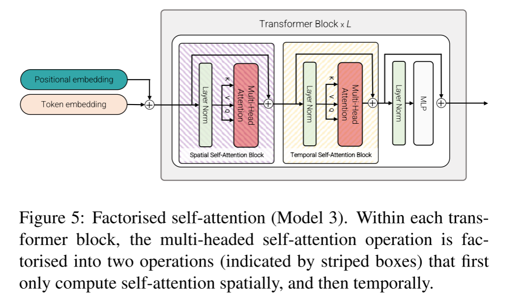 ViViT: A Video Vision Transformer -- ICCV2021 视频transformer方法解读_video transformer-CSDN博客