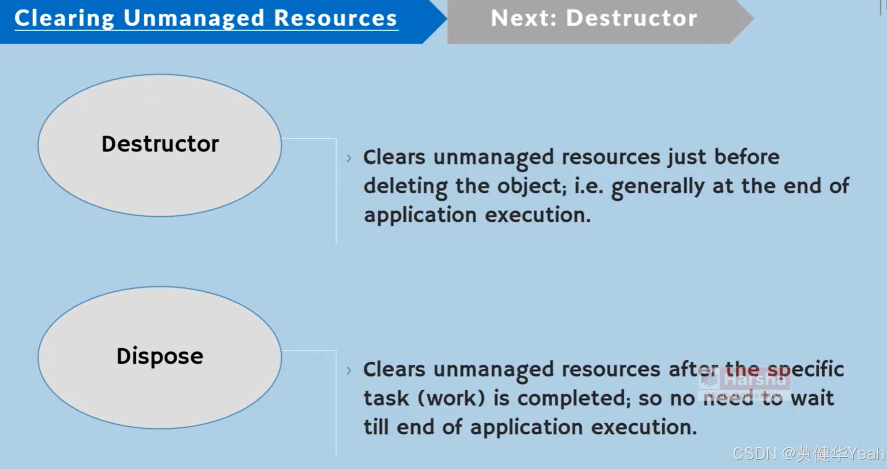 132 Destructors-CSDN博客