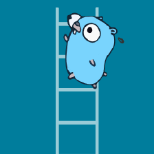 在 GoLand 中配置 WSL 环境跨平台开发的完整指南_goland wsl-CSDN博客