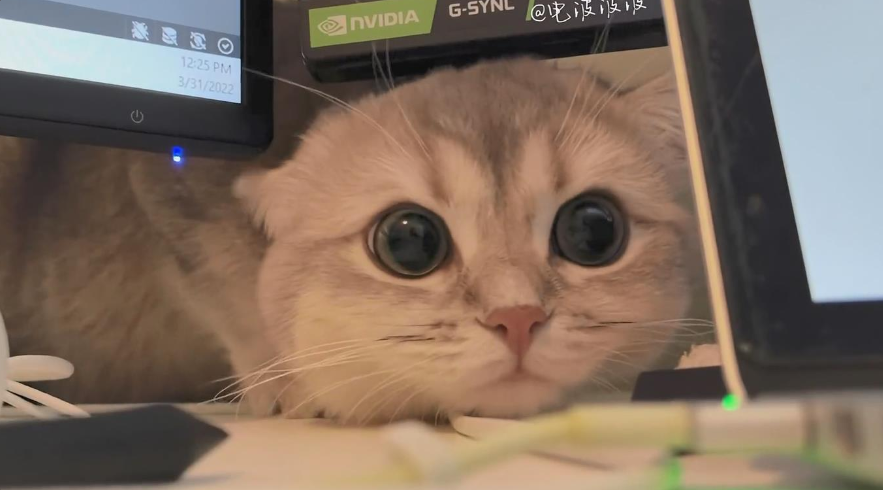 并发编程CountDownLatch_countdownlatch 超时-CSDN博客