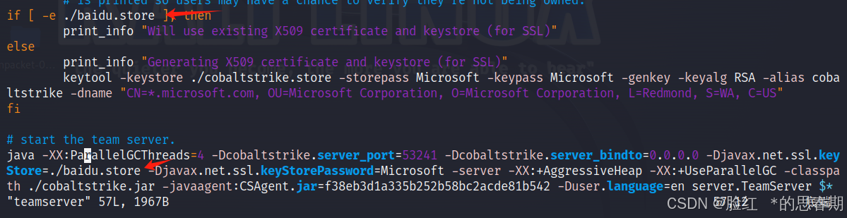 魔改CS—流量特征消除&暗桩去除&个性化修改&Stager修改_cs魔改-CSDN博客