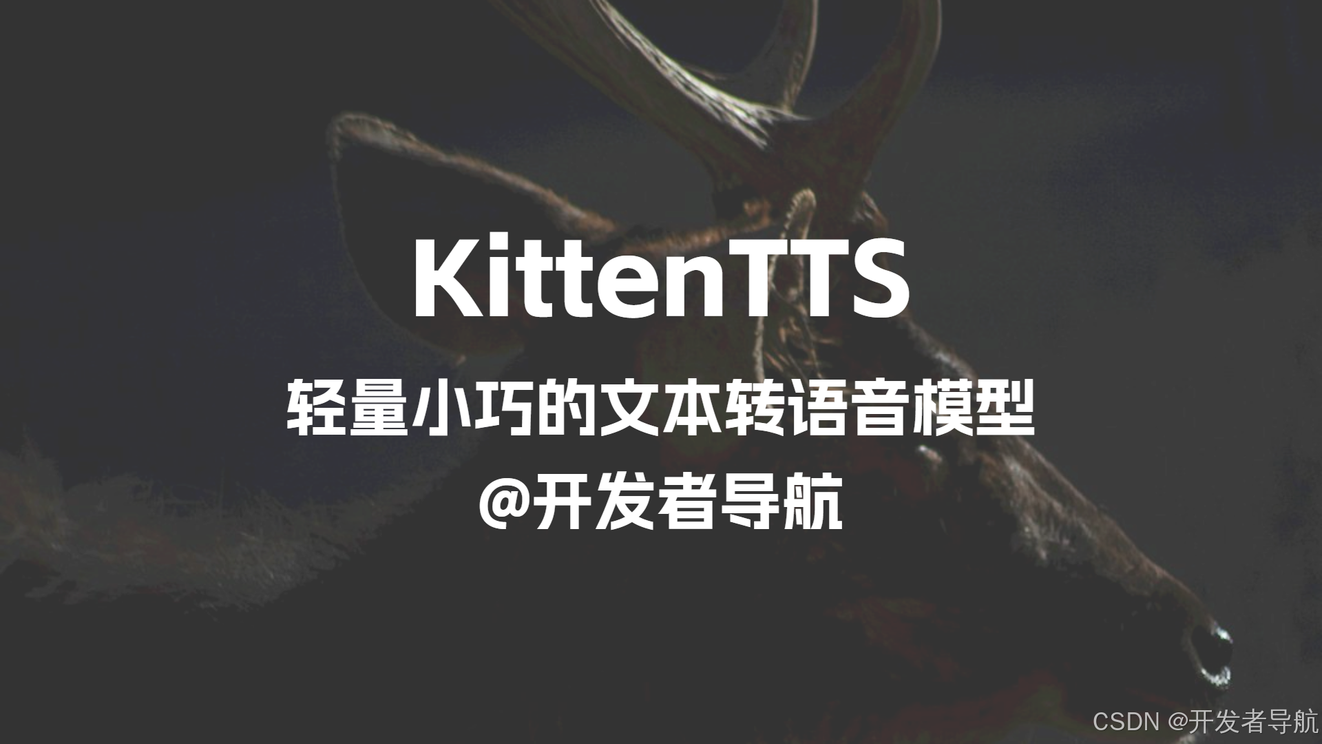 【开发者导航】轻量小巧的文本转语音模型：KittenTTS_kitten tts-CSDN博客