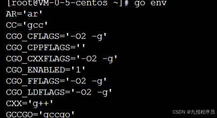 如何部署go项目到Centos_go项目部署-CSDN博客
