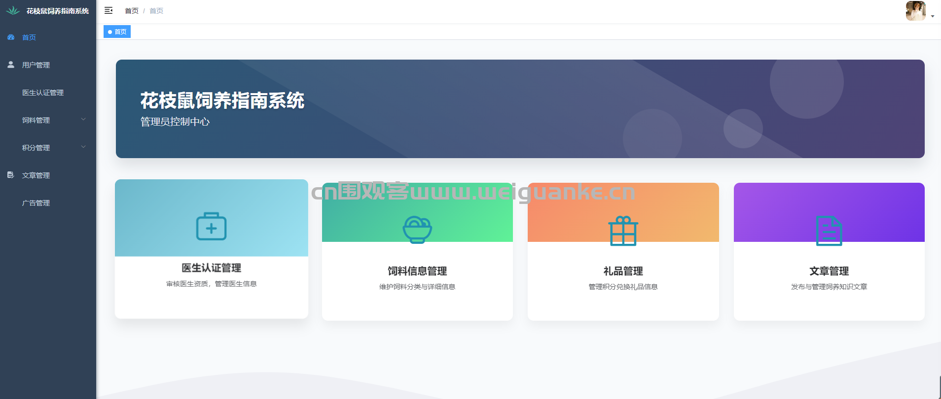 花枝鼠问诊系统springboot vue java-CSDN博客