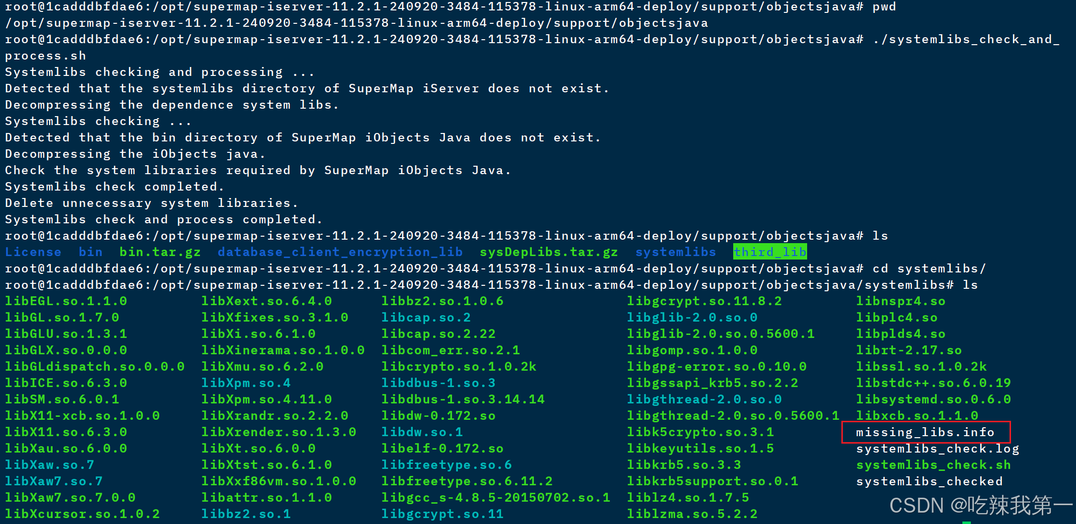 在X86平台模拟运行SuperMap iServer ARM版_supermap arm-CSDN博客