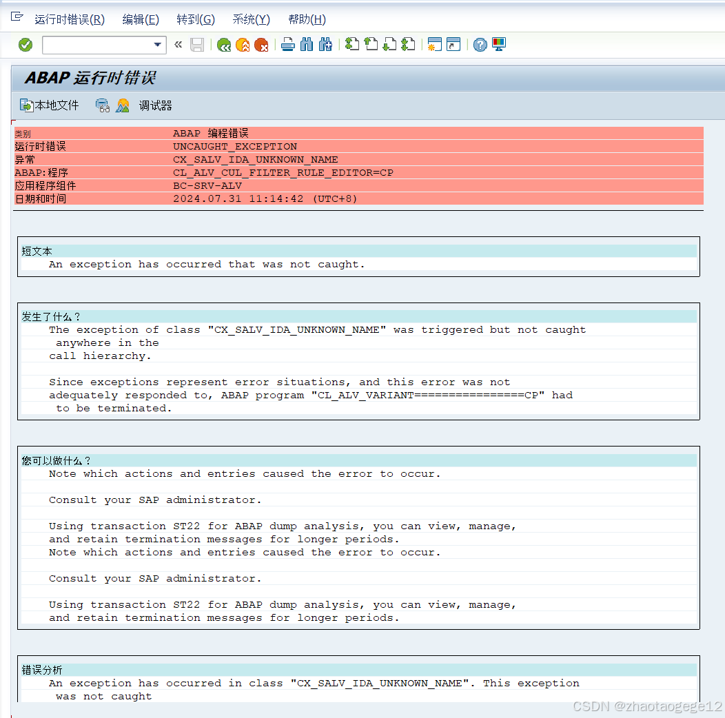 SAP SE11 excel导出dump_sap se11 导出excel dump-CSDN博客