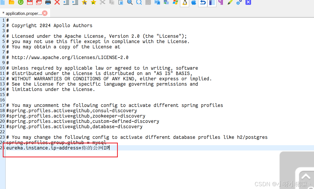 关于Apollo在阿里云部署的坑。(已解决)_apollo meta server地址设置阿里云公网地址-CSDN博客